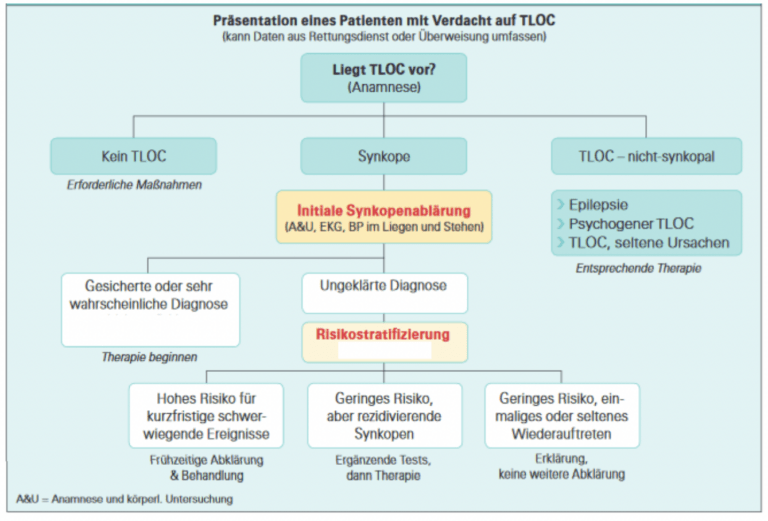 Leitlinie „Synkopen“ der DGN – FOAMio